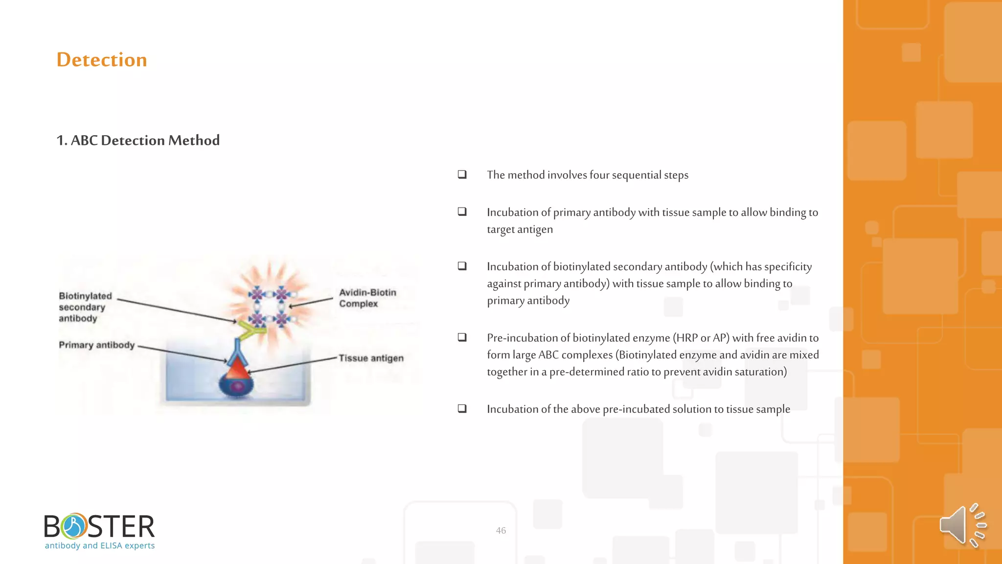 Immunohistochemistry (IHC) Principle | PPTX