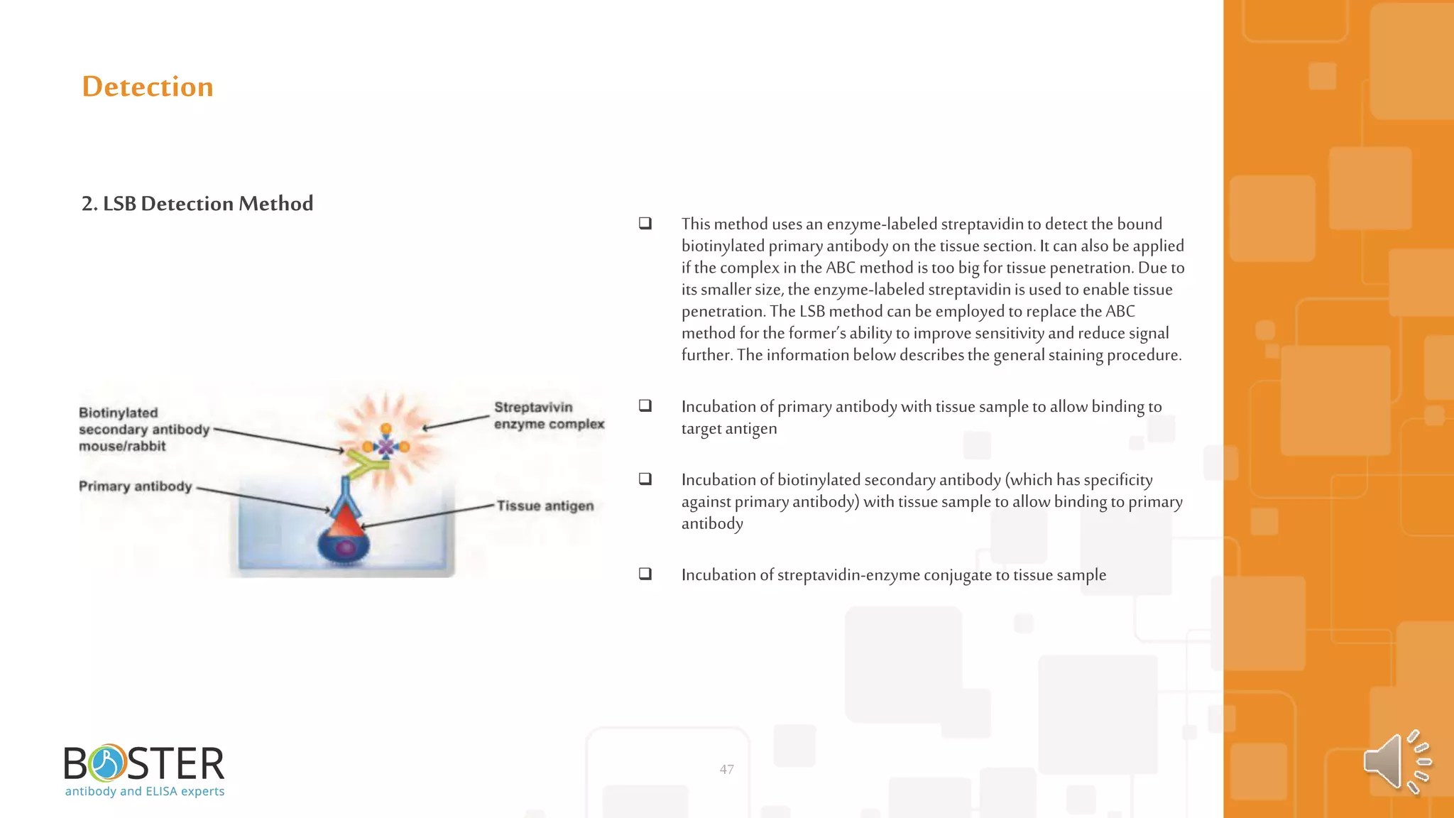 Immunohistochemistry (IHC) Principle | PPTX
