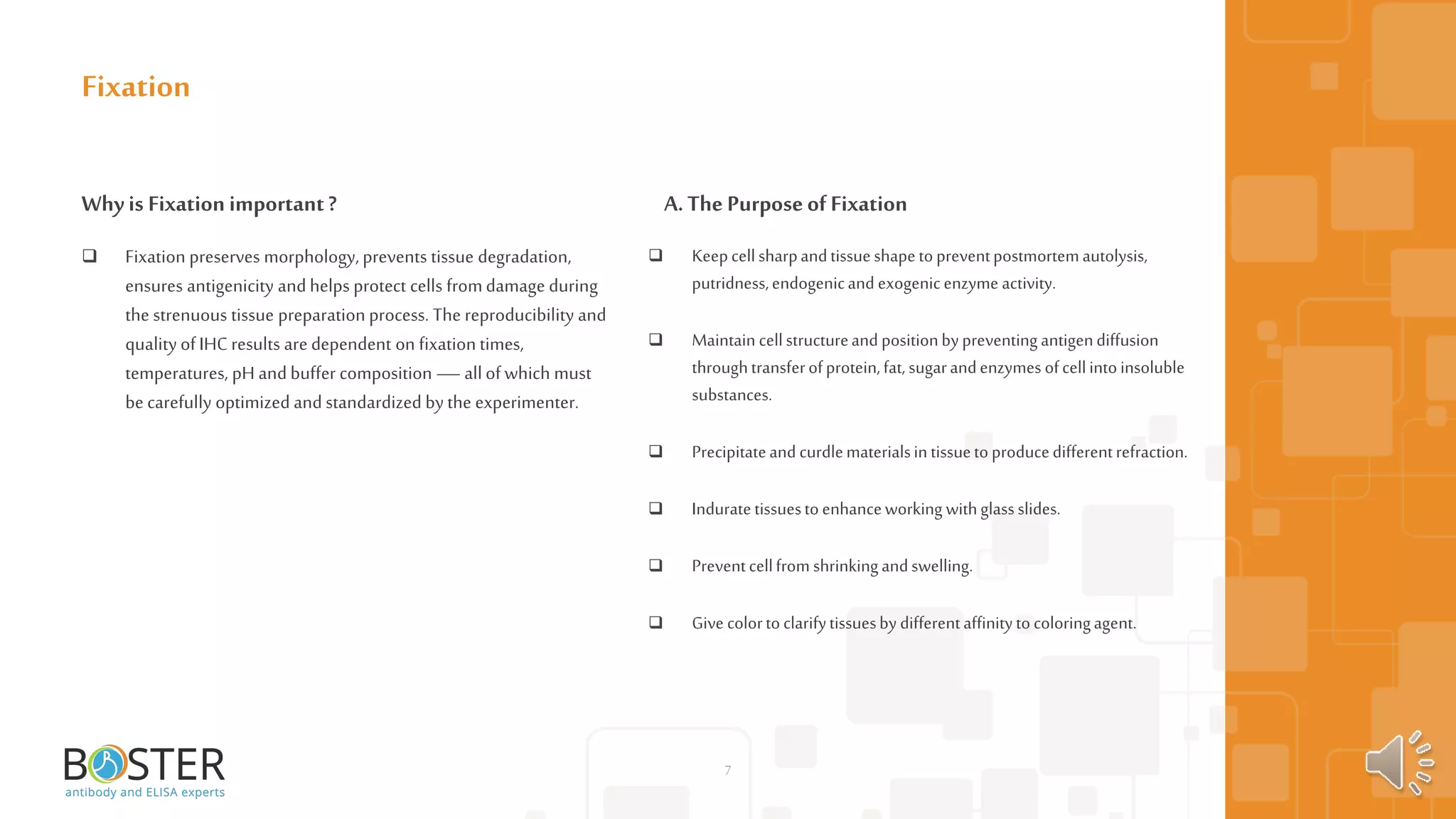 Immunohistochemistry (IHC) Principle | PPTX