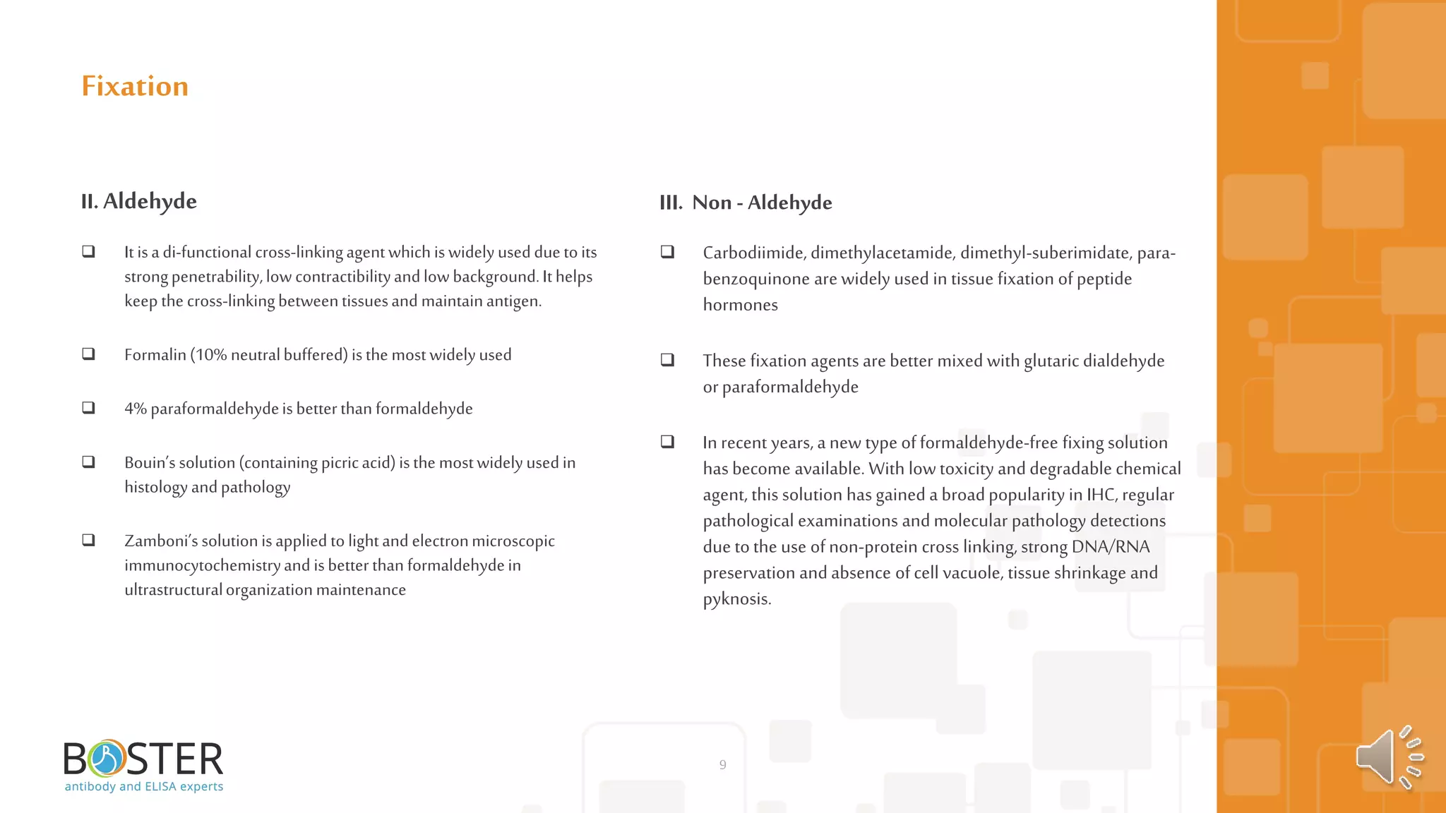 Immunohistochemistry (IHC) Principle | PPTX