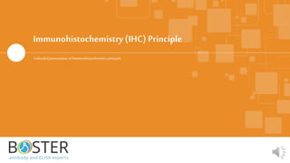 Immunohistochemistry (IHC) Principle | PPTX