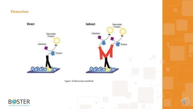 Immunohistochemistry (IHC) Principle | PPTX