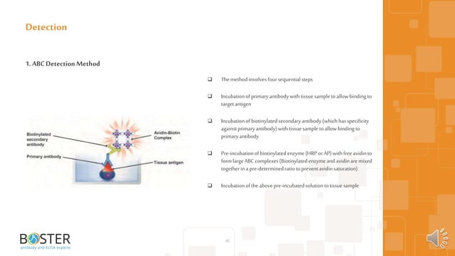 Immunohistochemistry (IHC) Principle | PPTX
