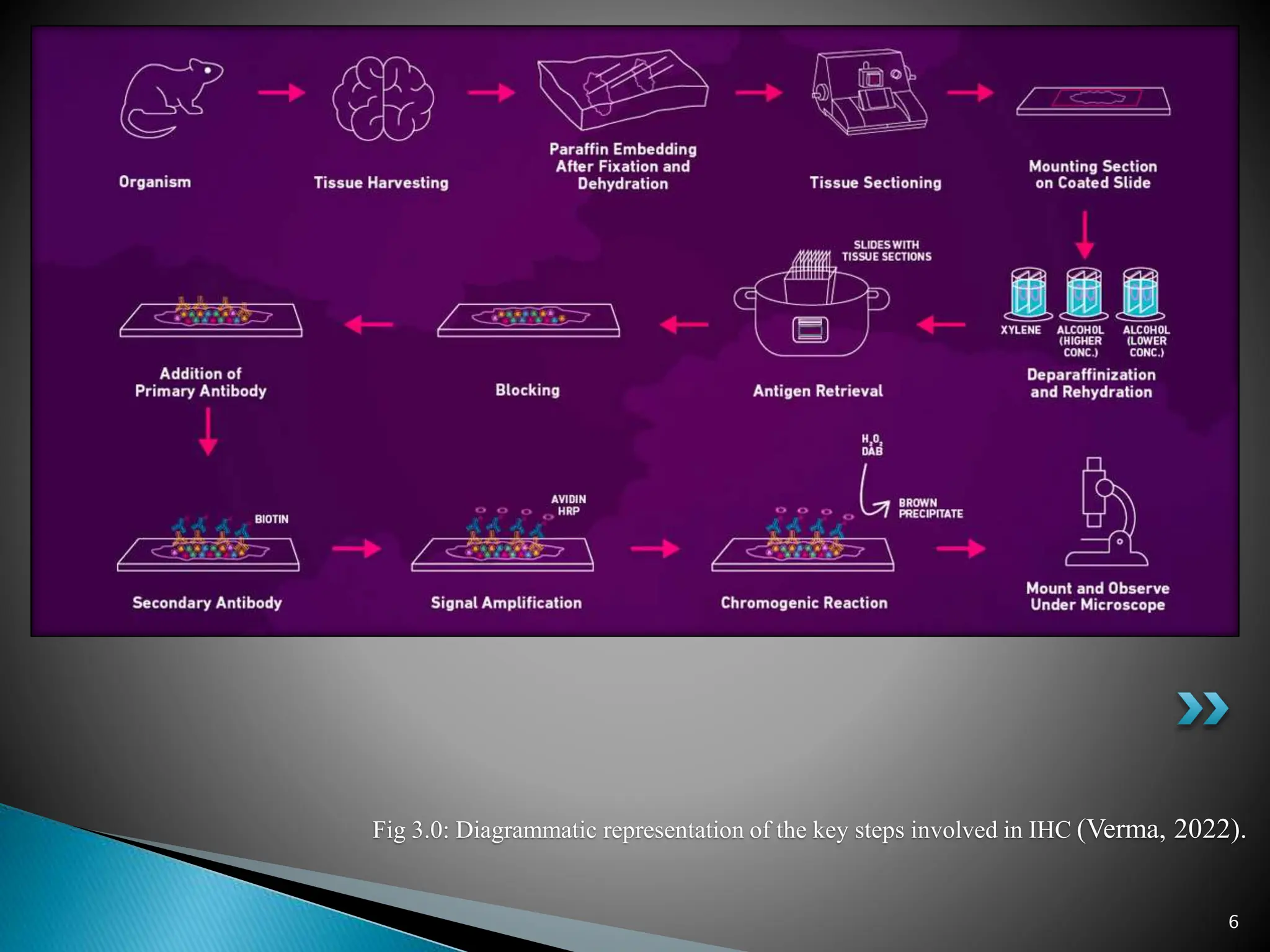 IMMUNOHISTOCHEMISTRY IN PATHOLOGY-1-2.pptx