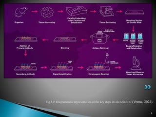 IMMUNOHISTOCHEMISTRY IN PATHOLOGY-1-2.pptx