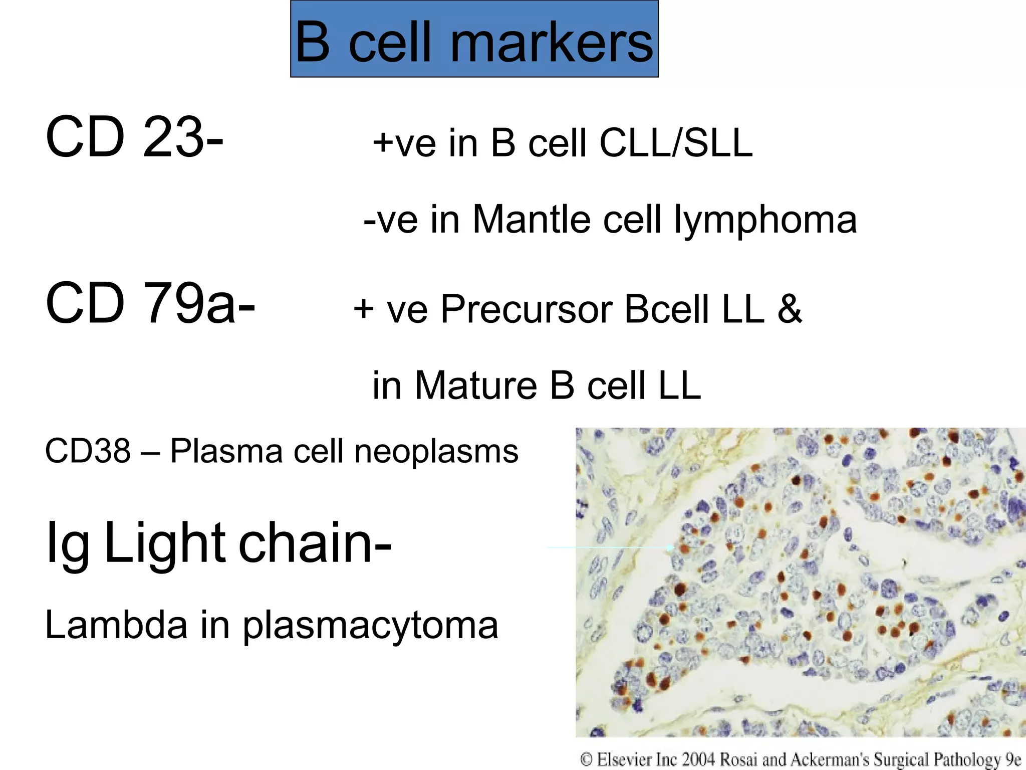 Immunohistochemistry | PPT
