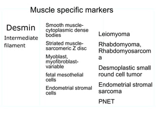Immunohistochemistry | PPT