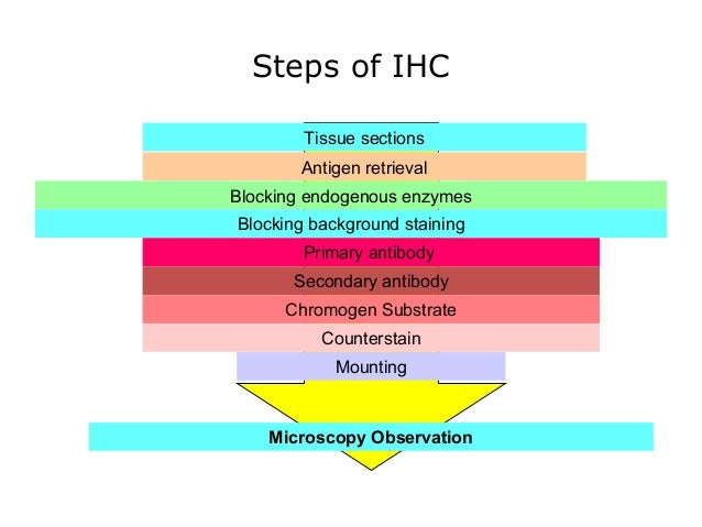 Immunohistochemistry