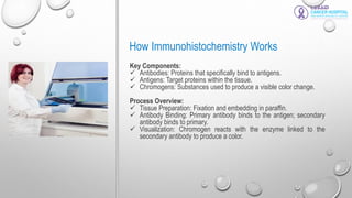Immunohistochemistry_Labaid Cancer Hospital.pdf