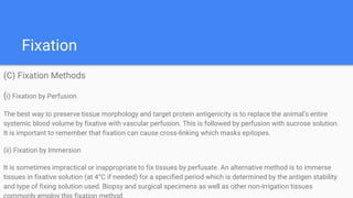 Immunohistochemistry principle | PPTX