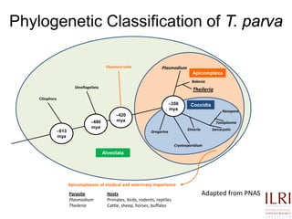 Immunoinformatics and Reverse Vaccinology, Potential Application to ...