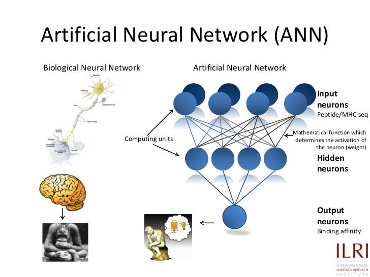 Immunoinformatics and Reverse Vaccinology, Potential Application to D…