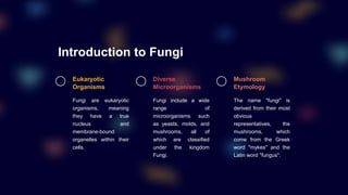 Immunolgy lab Group Assignment(Fungi) Shah Mir Khan.pptx