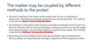 Immunolocalization | PPTX