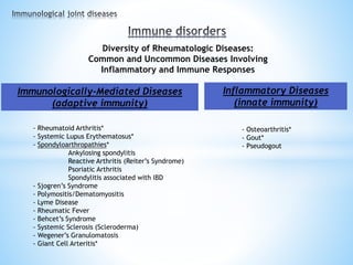 Exploring the Interconnection Between Rheumatic Disease and the Immune ...