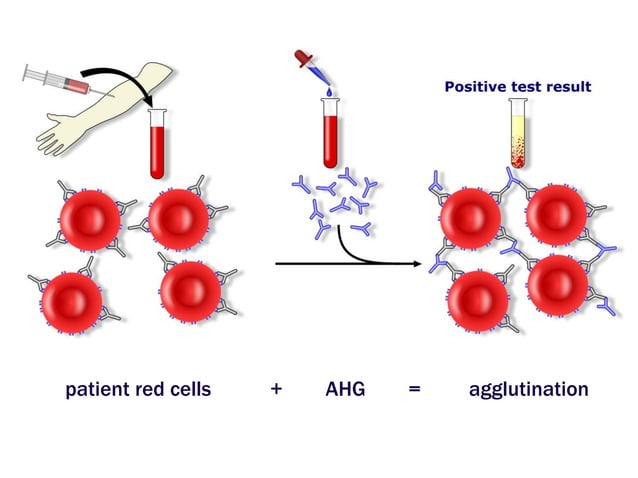 Immunologic laboratory-tests | PDF