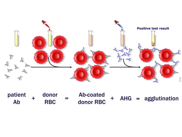 Immunologic laboratory-tests