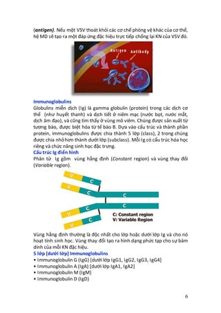 Miễn dịch học trong bệnh nha chu | DOC
