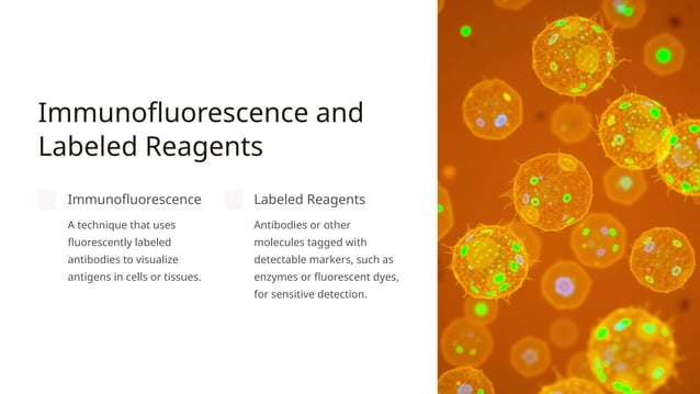 Immunological-Techniques-A-Comprehensive-Overview.pptx