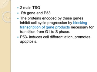 Immunological aspects of oral cancer | PPTX