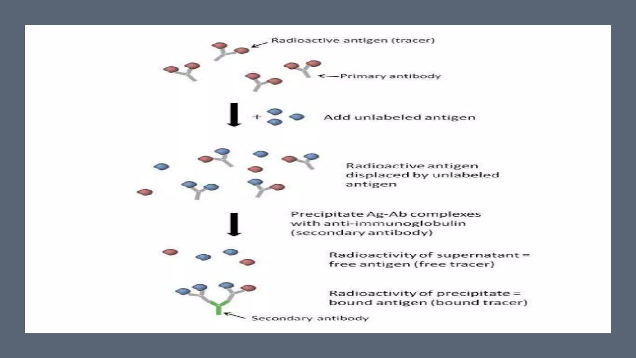 Immunological Assay.pptx