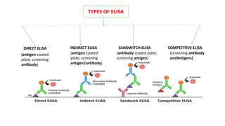 IMMUNOLOGICAL ASSAYS.pptx