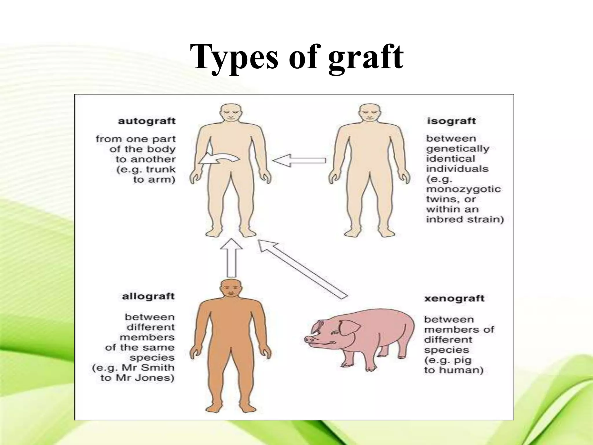 Immunological basis of graft rejection and mechanism of graft rejection ...