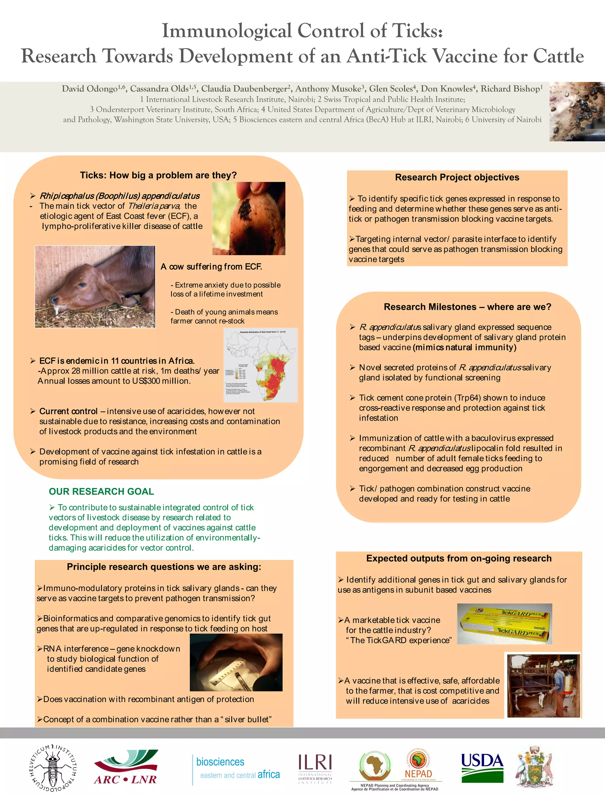 Immunological control of ticks: Research towards development of an anti ...