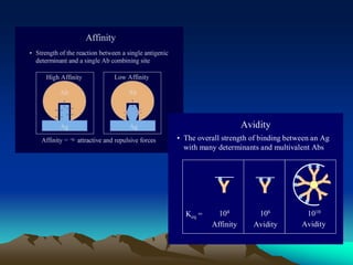 Immunological diagnostic techniques dr.ihsan alsaimary basrah mediucal ...