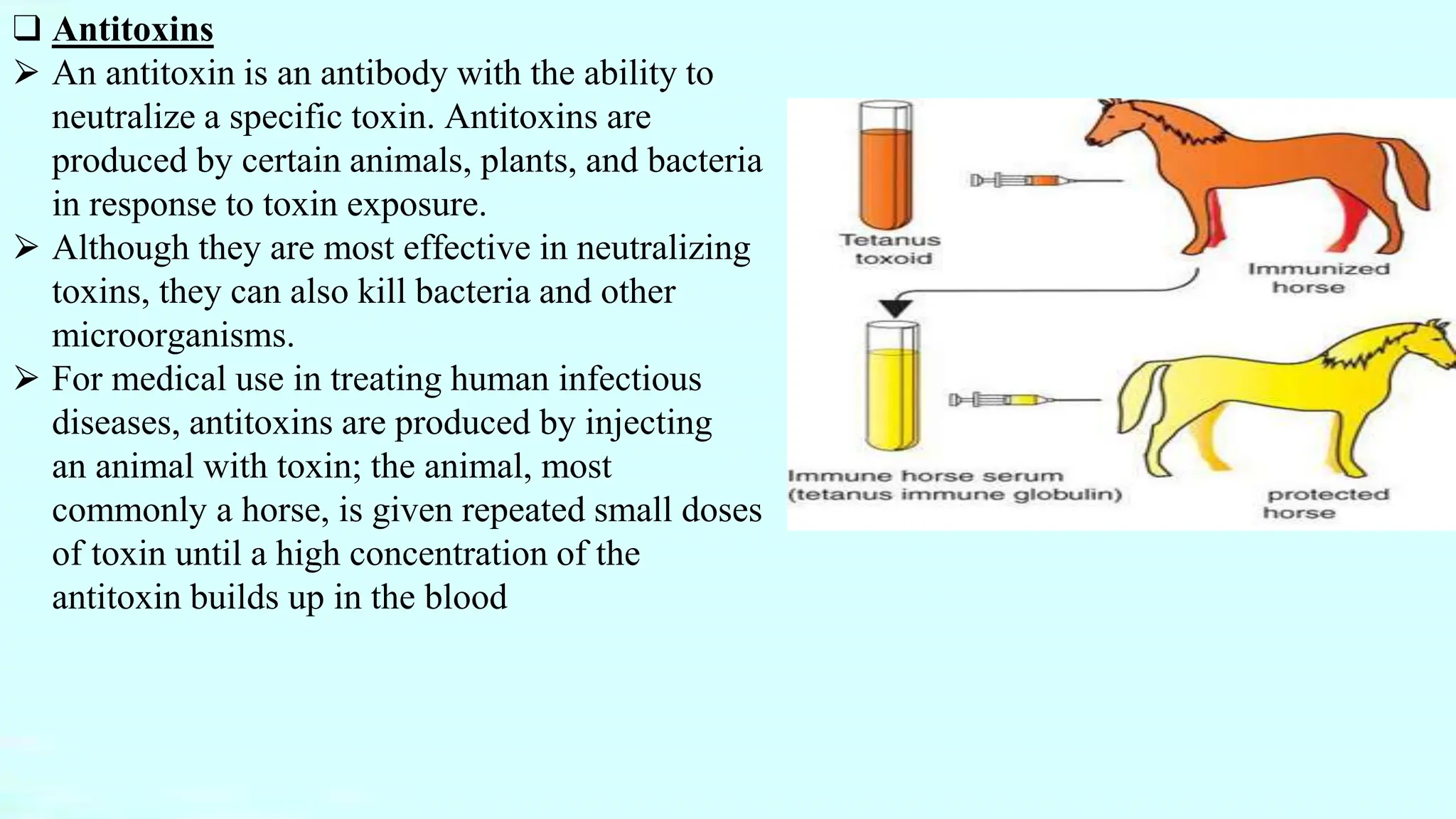 Immunology Products, Immunological components | PPTX