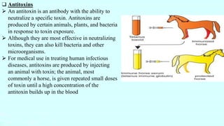 Immunology Products, Immunological components | PPT