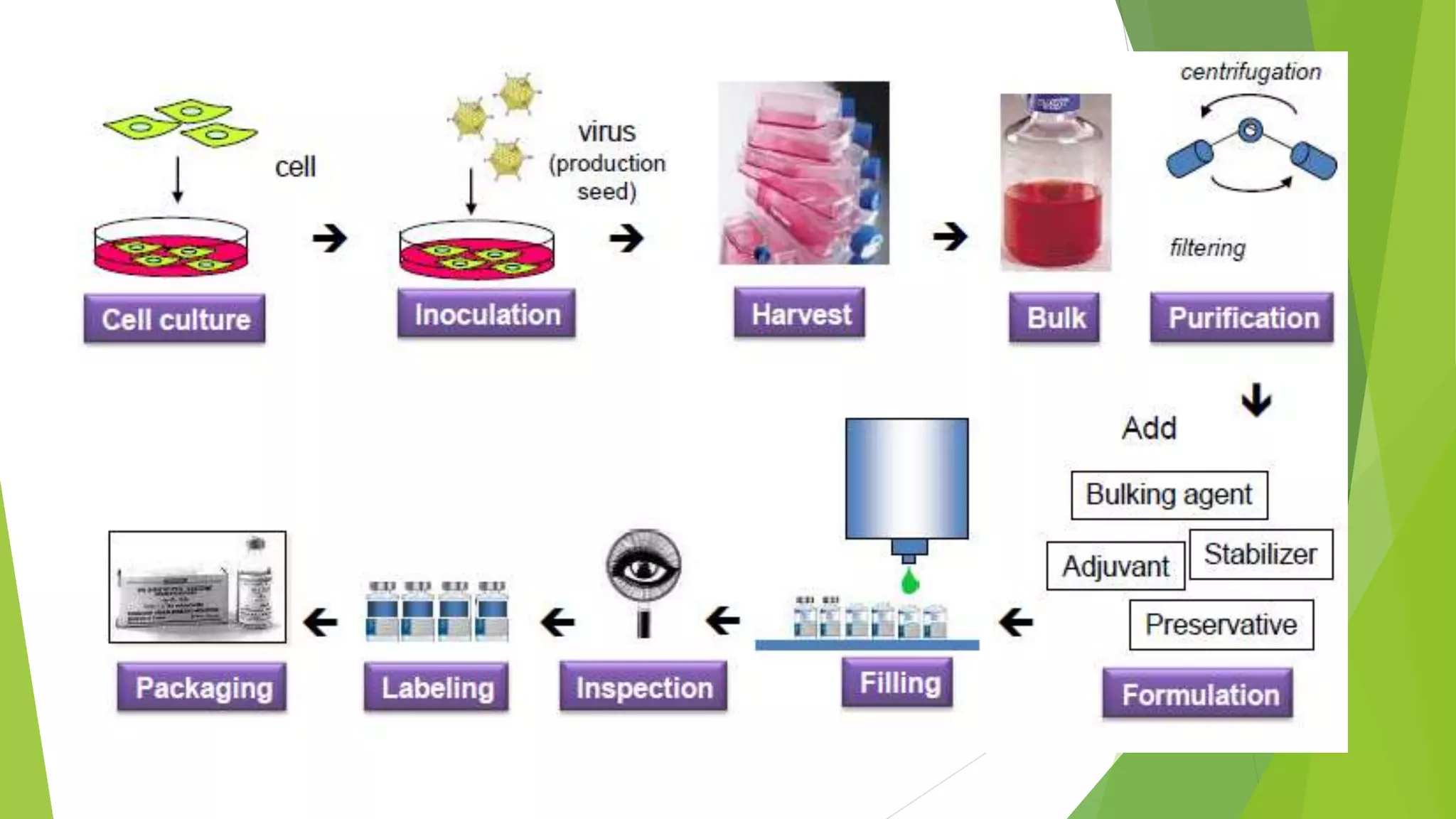 Immunological products | PPTX