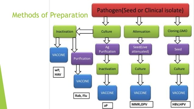 Immunological products | PPTX | Infectious Diseases | Diseases and ...