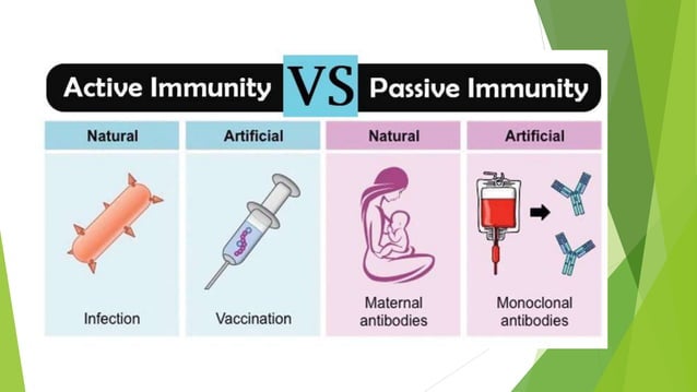 Immunological products | PPTX | Infectious Diseases | Diseases and ...