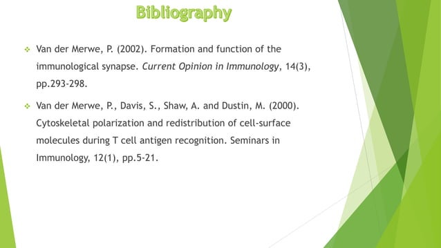 Immunological synapse | PPT