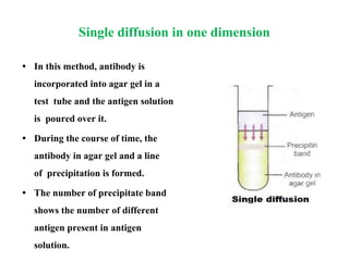 Immunological techniques-IMMUNODIFFUSION | PDF