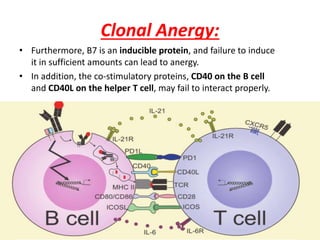 Immunological tolerance | PPT