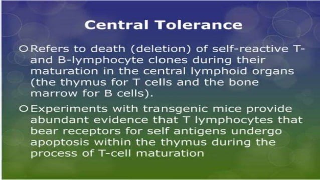 immunological tolerance- immunology.pptx