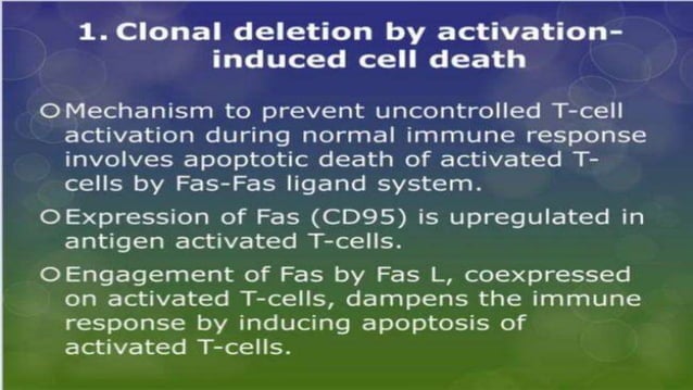 immunological tolerance- immunology.pptx