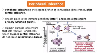 Immunological tolerance and resistance | PDF