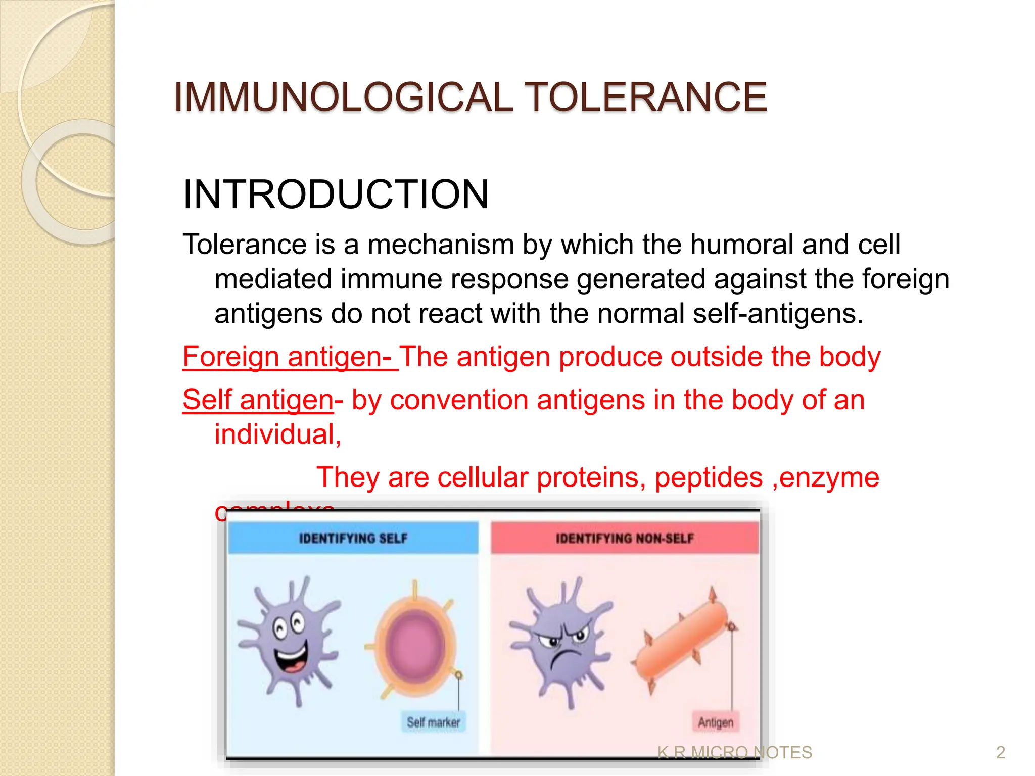 Immunological Tolerance And Modulation Ppt Pptx