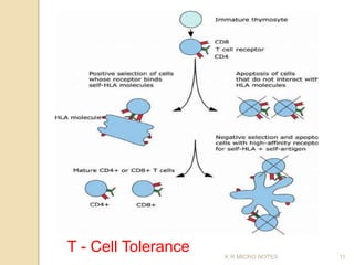 IMMUNOLOGICAL TOLERANCE AND MODULATION PPT | PPTX