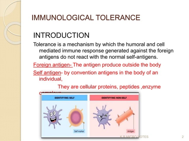 IMMUNOLOGICAL TOLERANCE AND MODULATION PPT | PPTX