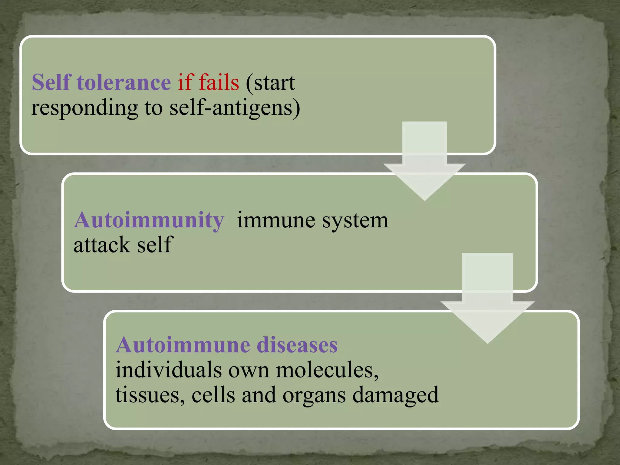 Immunological tolerence and autoimmunity | PPT