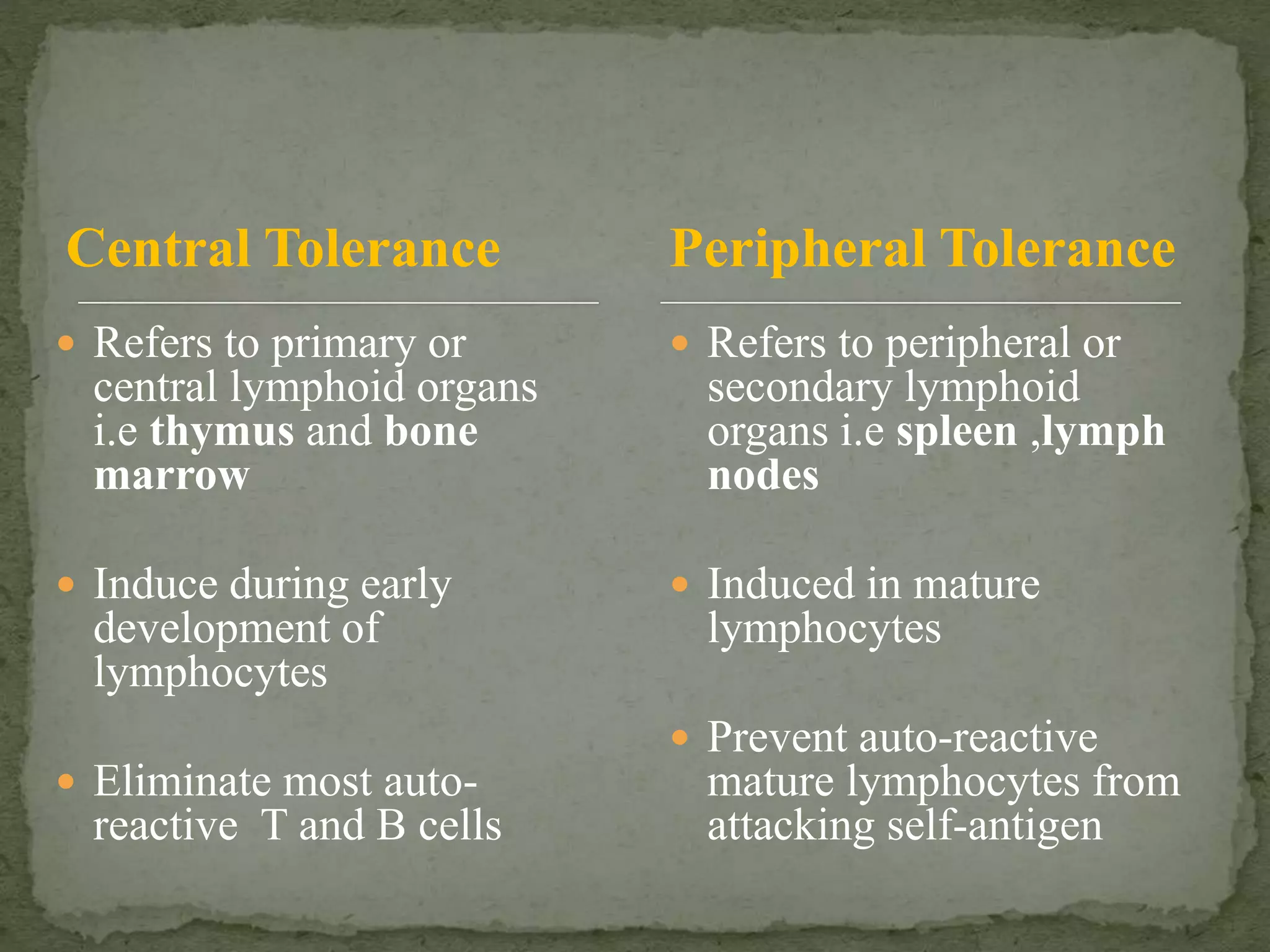 Immunological tolerence and autoimmunity | PPT