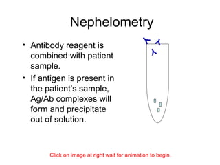 Immunologic methods basic methods | PPT | Infectious Diseases ...