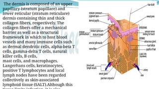 Immunologic skin dis Prof. Dr Naael H Ali | PPTX