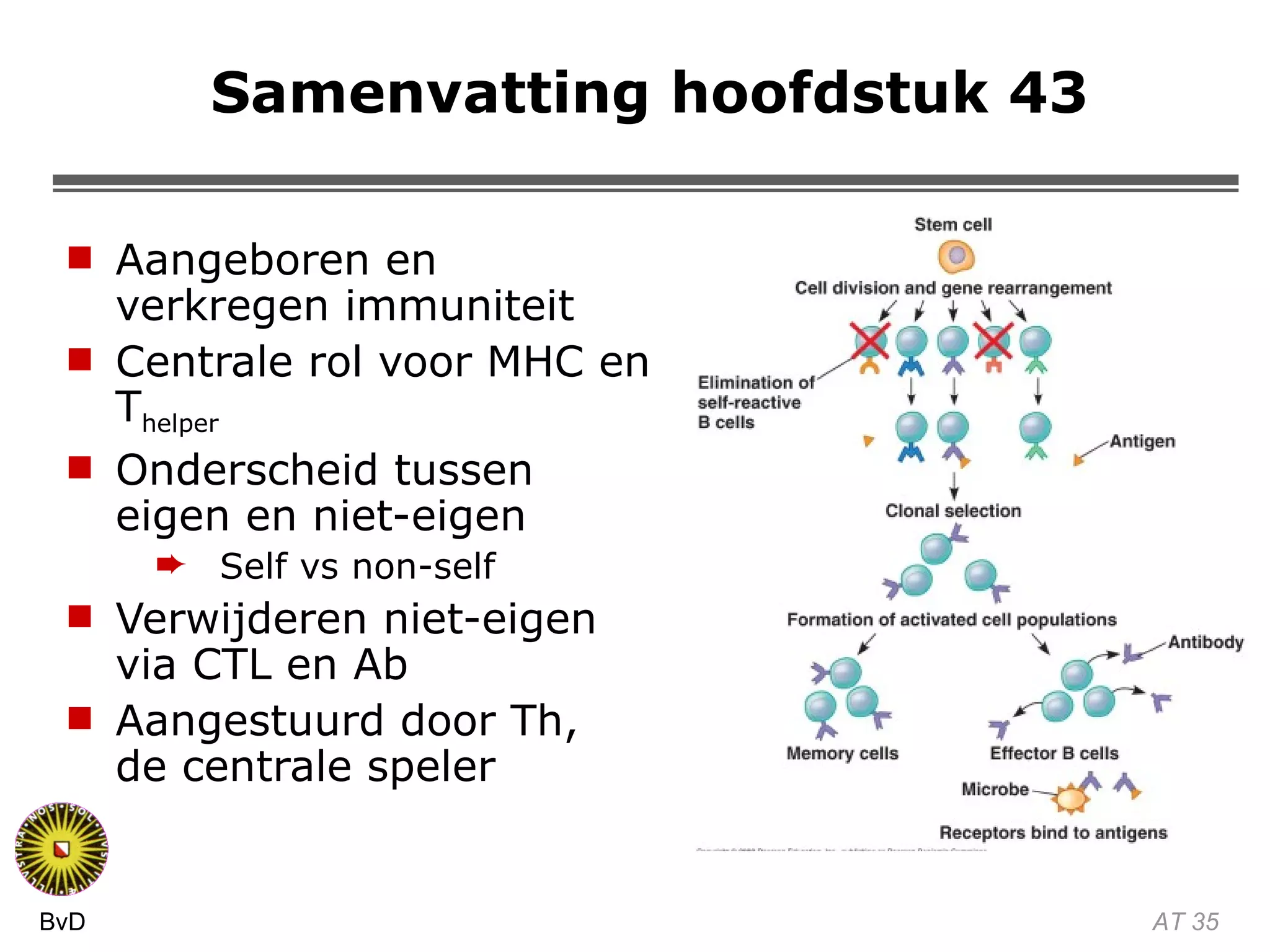 Immuunsysteem | PPT