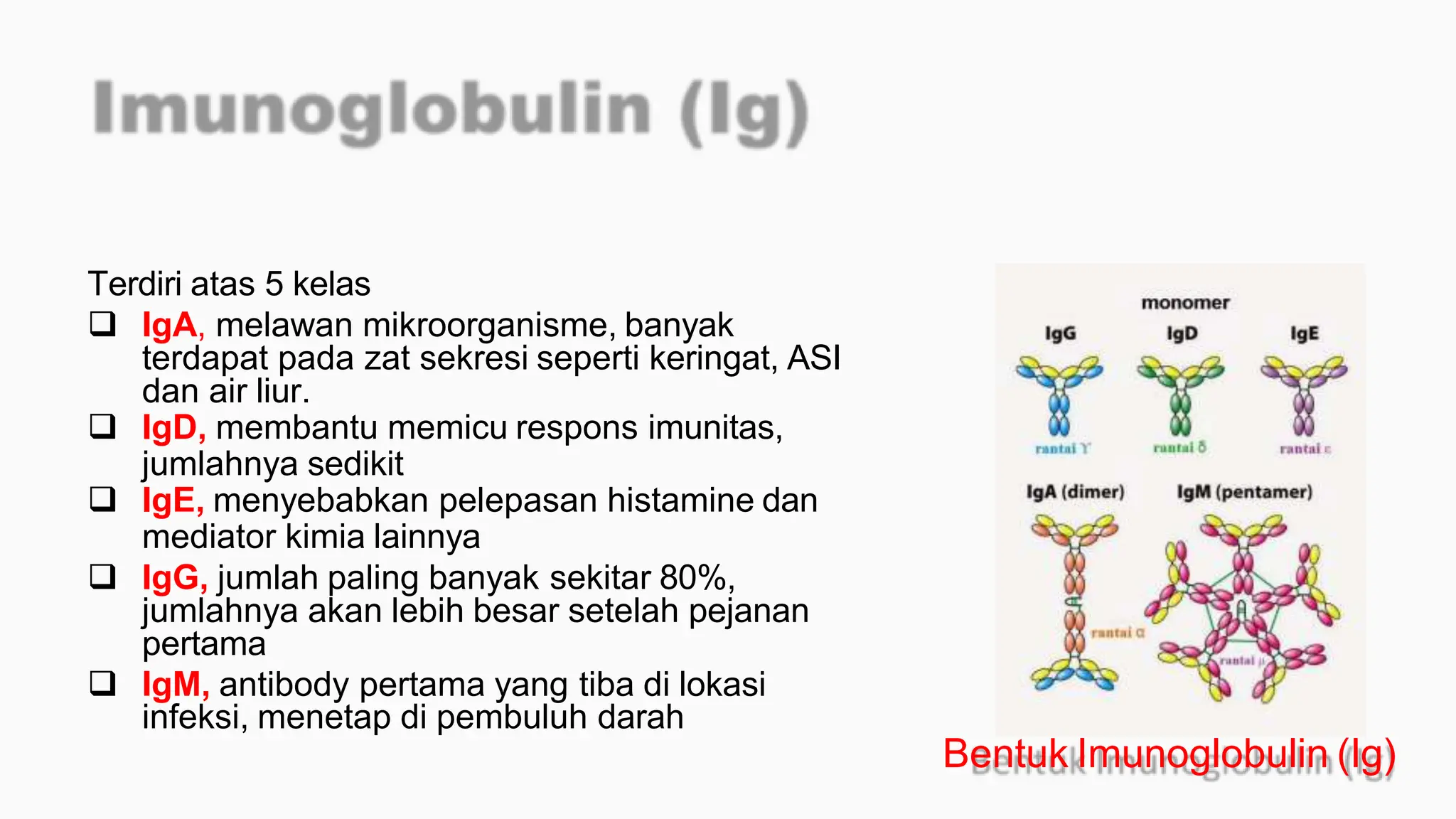 immunologi manusia.pptx