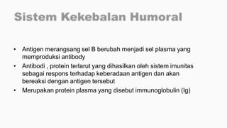 immunologi manusia.pptx
